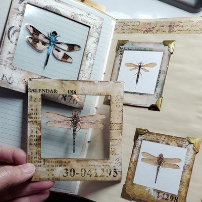 Dragonfly Specimen Cards, ATC, Junk Journal, Printable, Slide, Science ...