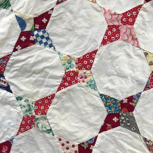 WALT KELLY - the Pogo Puce Stamp Catalog - Etsy