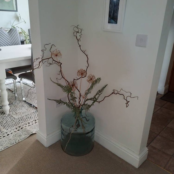 XL Twisted Hazel Branch Corylus Curly Twigs Wabi Sabi Decor Minimalist ...