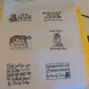 Funny Cat Quilt Label Assortment – Sarcastic Cat Quilt Labels ...