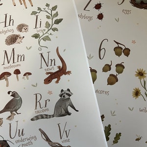 Woodland Alphabet Poster, Woodland Alphabet Print, Woodland Nursery ...