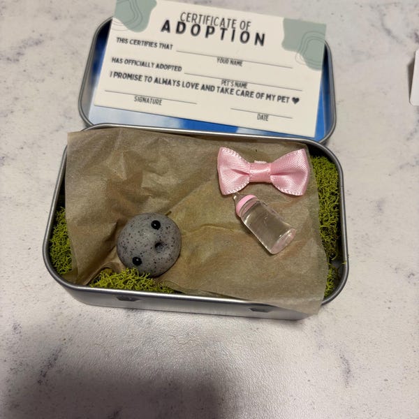 BABY ROCK! Magnetic W/ Adoption Certificate! Adopt an Adorable Desk Pet ...