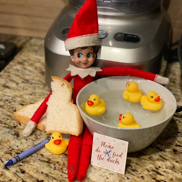 Christmas Elf Don’t Feed the Ducks Prop, Christmas Elf Kit, Holiday Elf ...