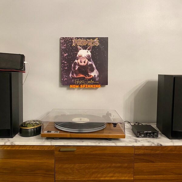 Vinyl Record Display Stand - 3D Printed - Etsy