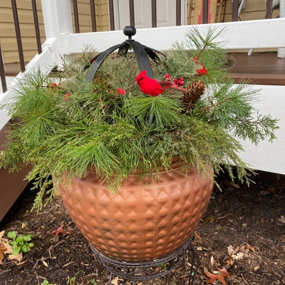 Set of Two Large Elysian Garden® Obelisk Orb: Containing 4 Hoops per ...