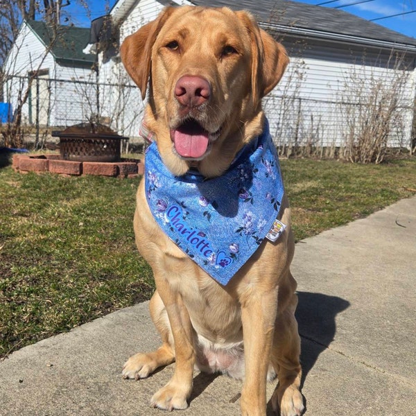 Cincinnati Reds Bandana / Cincinnati Reds / Dog • Cat Bandana / Pet ...