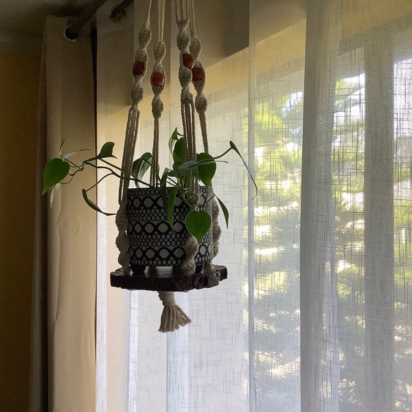 Dragonfly Air Plant Pod Hanger - Etsy