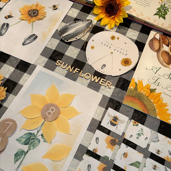 Sunflower Activity Unit, Sunflower Montessori Unit, Nature Flashcards ...