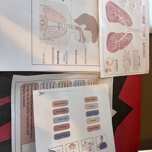 Landforms Kids Printable Activity Lesson, Geography Busy Pages Types of ...