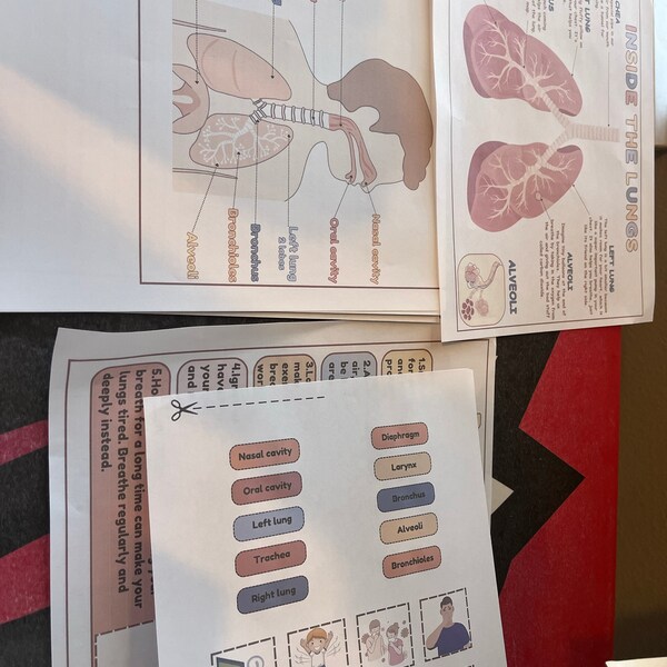 Word Family Activity Kids, Phonics Word Families, Rhymes Interactive ...