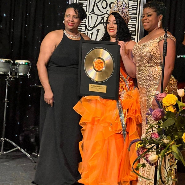 PERSONALIZED Authentic Framed Platinum Vinyl Record With Customized ...