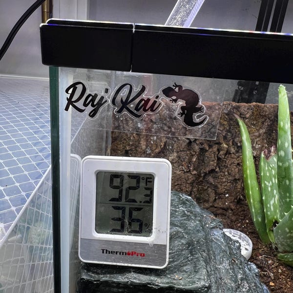 Rat Dress for Rat Crochet Dress for Pet Rat Sweater for Fancy Rat ...