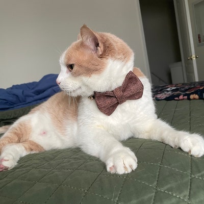 Custom Cat Collar Bell Bow in Blue Corduroy/velvet - Etsy