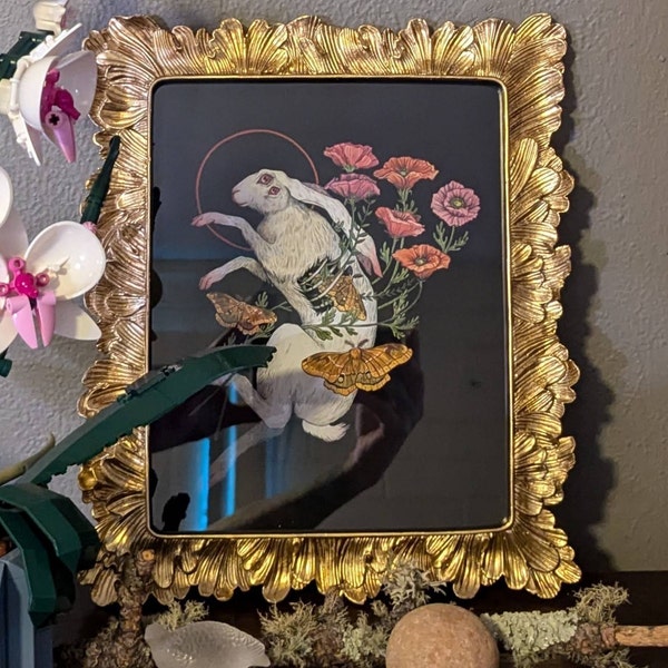 White Rabbit With Poppy Flowers- Giclee Print From Original Hand ...