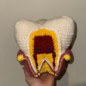 Digestive System Crochet English Ebook - Etsy