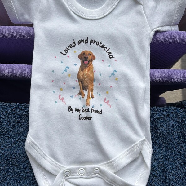 Personalised First Birthday Dinosaur Blue Dungarees | I Am One Today ...