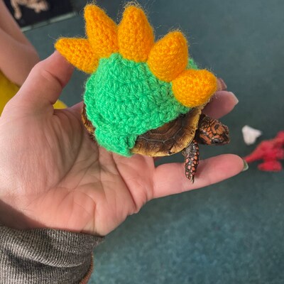 Tortoise Sweater Dinosaur, Stegosaurus Cozy for Tortoises, Crochet ...