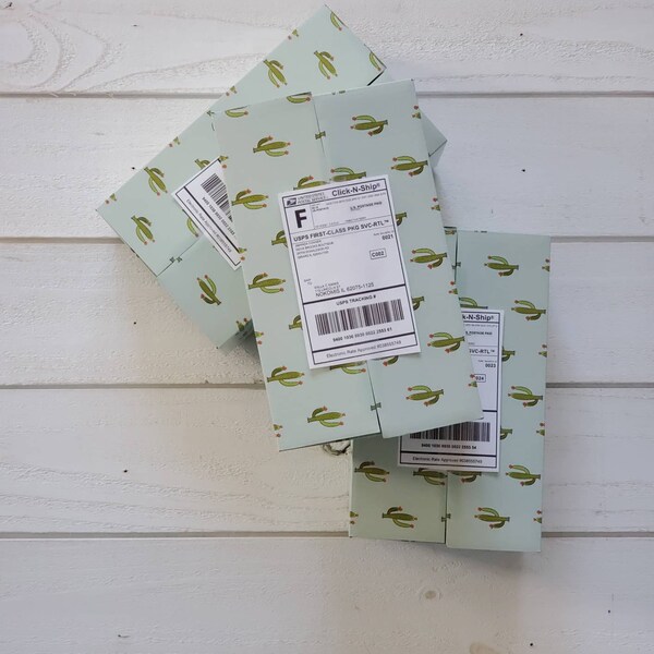 12 Pack 10x6x4" Mint Cactus Designer Boxes, Recyclable, Reusable ...
