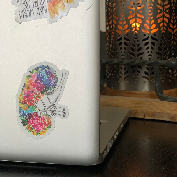 Anatomical Kidney Floral Vinyl Sticker. Vinyl Decal, Laptop Sticker ...