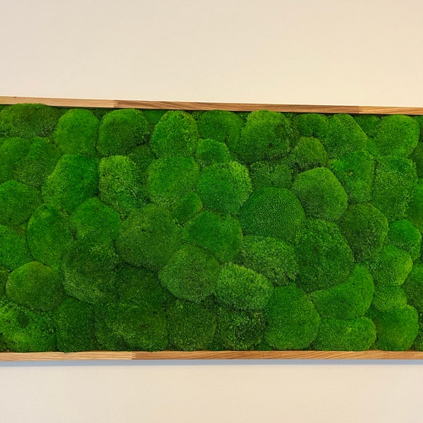 Moss Picture Ball Moss Solid Wood Frame Oiled Oak Moss Landscape - Etsy
