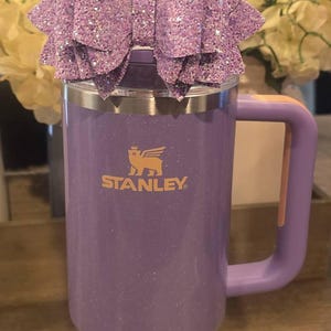 Stanley Tumbler Bow Pink Peony Camelia Gradient Fuchsia Flamingo ...