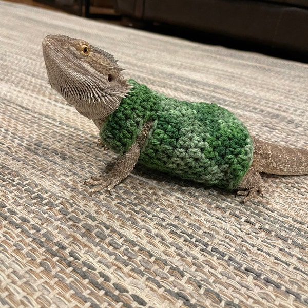 Crocheted Adult Bearded Dragon Sweater | Bearded Dragon Sweater ...