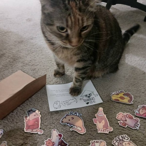 RAT Stickers | Waterproof Holographic Stickers, Rat Sticker, Derpy ...