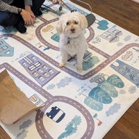 Colorful Kid's Rug|fun Carpets|İnteresting Play Mat|non-slip Children's ...