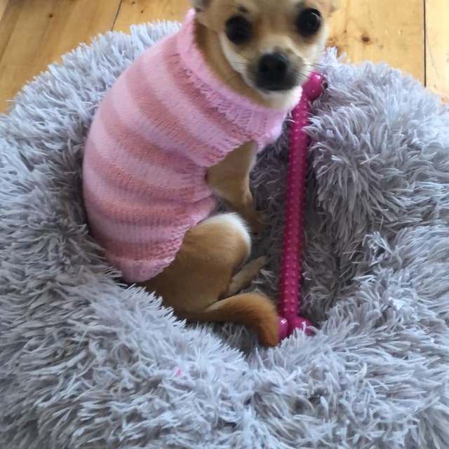 Fun Stylish Affordable Handmade items for your pets. by Petopedia