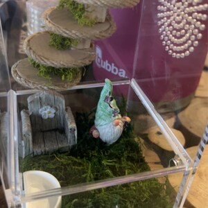 Jumping Spider Food Dish Jumping Spider Enclosure - Etsy