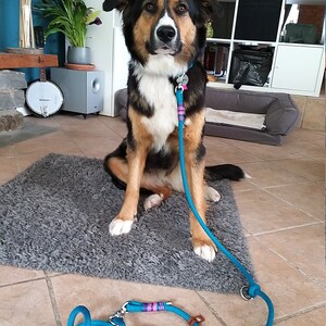 Dog Collar and Leash Made of PPM Rope | Etsy