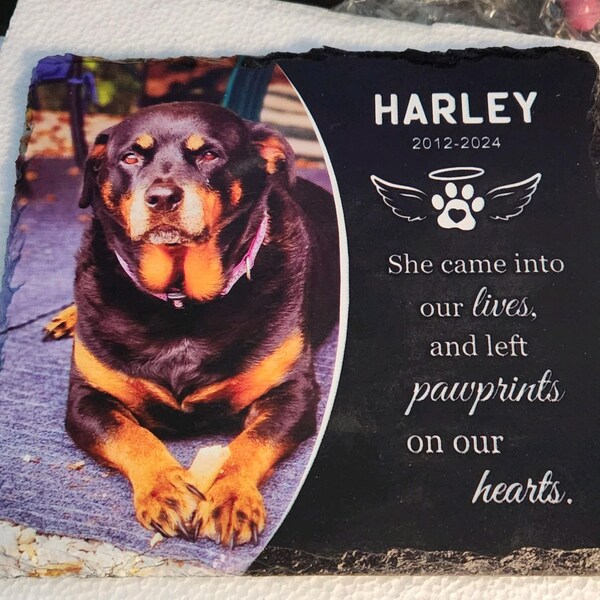 3D Crystal Photo Pet Portrait, Personalized Pet Memorial Gift, Loss of ...