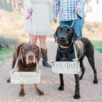 Our Humans Are Getting Married Dog Signs Save the Date Signs for DOGS ...