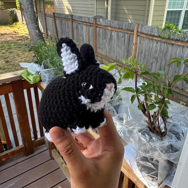 Custom Bunny Rabbit Plushie Crochet Amigurumi -custom Bunny -crochet ...