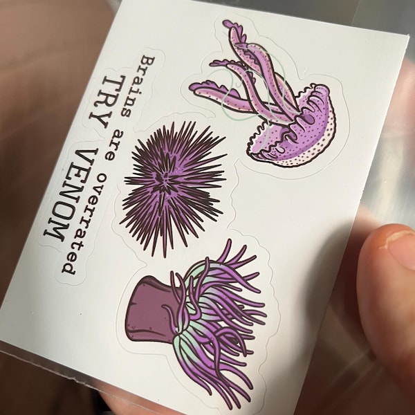 Ocean Math Ten Frame Numbers, Ten Frame Preschool, Number Counting ...