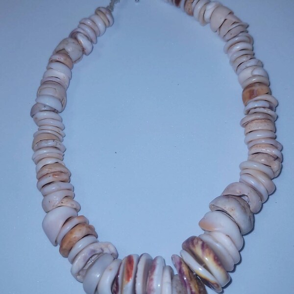Laiki Miter Hawaiian Seashells Shells From Kauai - Etsy