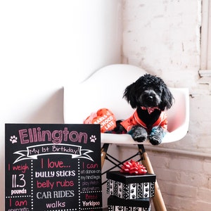 I Survived My First Day of Kindergarten Sign so Did Mommy | Etsy