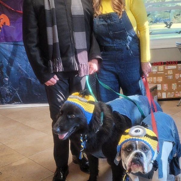 Despicable Stuart the Minion Hat - Etsy