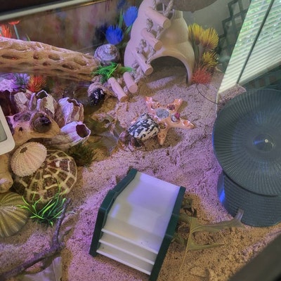 Aquarium Corner Cave Fish Tank Decoration, Axolotl Hide Underground ...