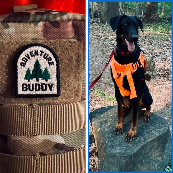 Adventure Buddy Patch for Dogs | Iron-on | Velcro - Etsy