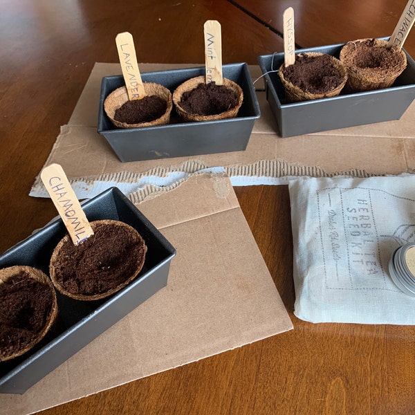 Herbal Tea Garden Seed Kit - Etsy