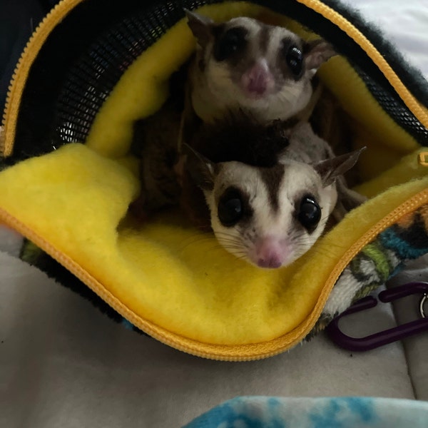 Sugar Glider Halloween Mobile, Lots of Activities, Sugar Gliders ...