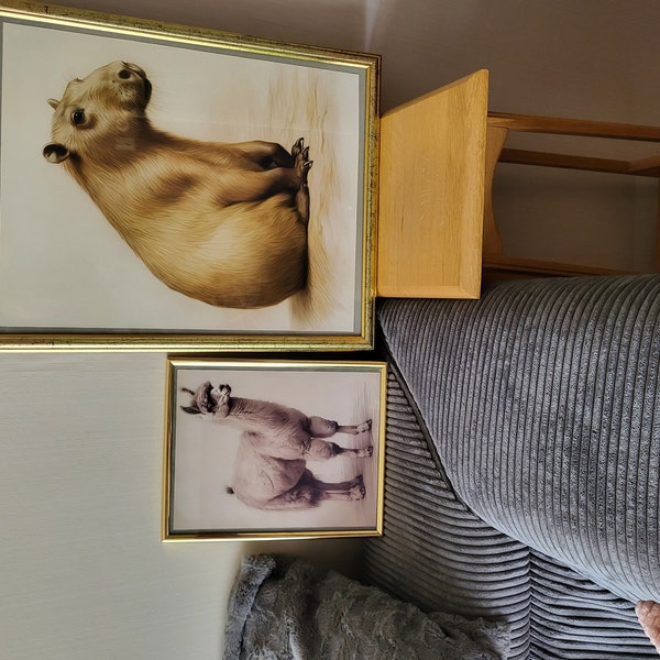 Capybara Gift, Cute Capybara Candle, Pull up Capybara, Capybara Lover ...