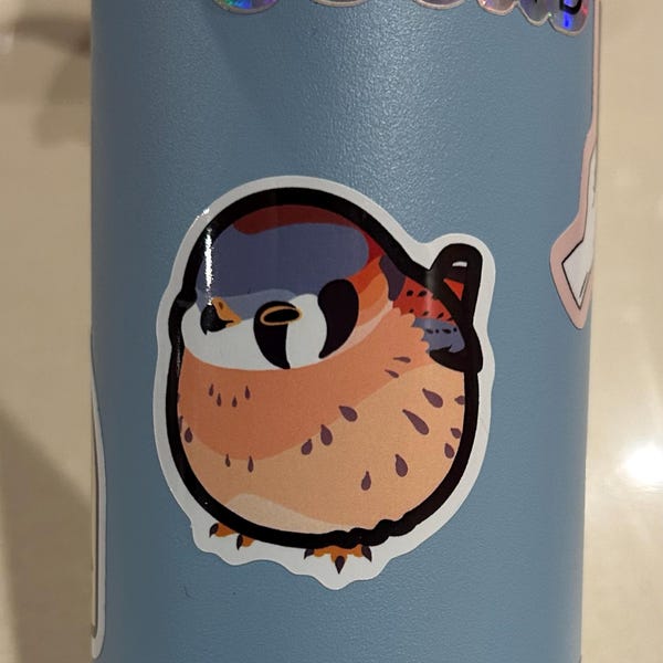 Cute Round American Kestrel, Adorable Waterproof Birb Sticker - Etsy