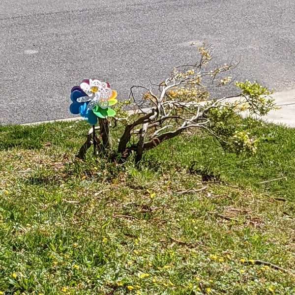 Hummingbird Pinwheel Spinner Whirligig Windmill Fan - Etsy