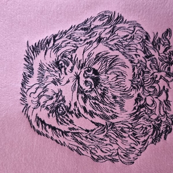 Emu Redwork Sketch Machine Embroidery Design Pattern 5 Sizes 9X12 8X8 ...