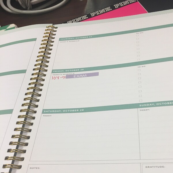 Rubber Ducky Die Cut Planner Stickers Set for Use With Erin Condren ...