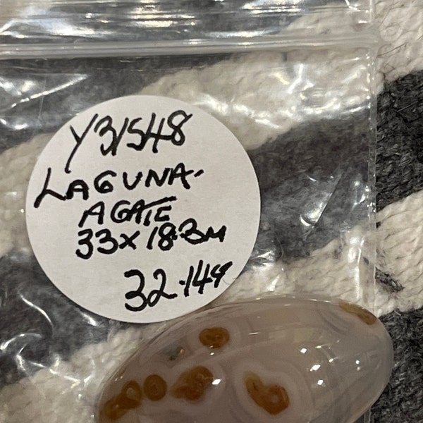 Stromatolite Collenia Undosa Fossil Proterozoic (2.1 B.y.o.) 6.715cts ...