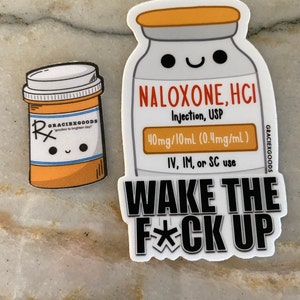 Emergency Nurse Sticker Pack Dream Team Ativan Haldol - Etsy