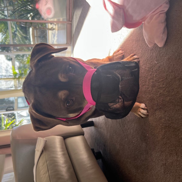 Smuzzle: A Soft Muzzle That Lets Your Dog Smile - Etsy